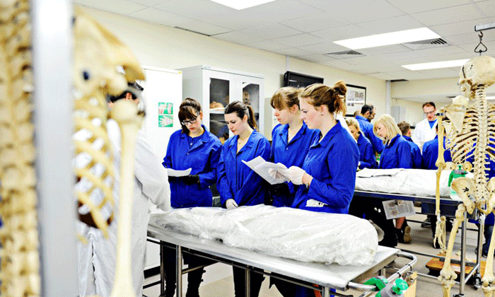 M.D. (A.M.) Course - CMS ED Allopathy Diploma Course, DNYS, BEMS, MD AM